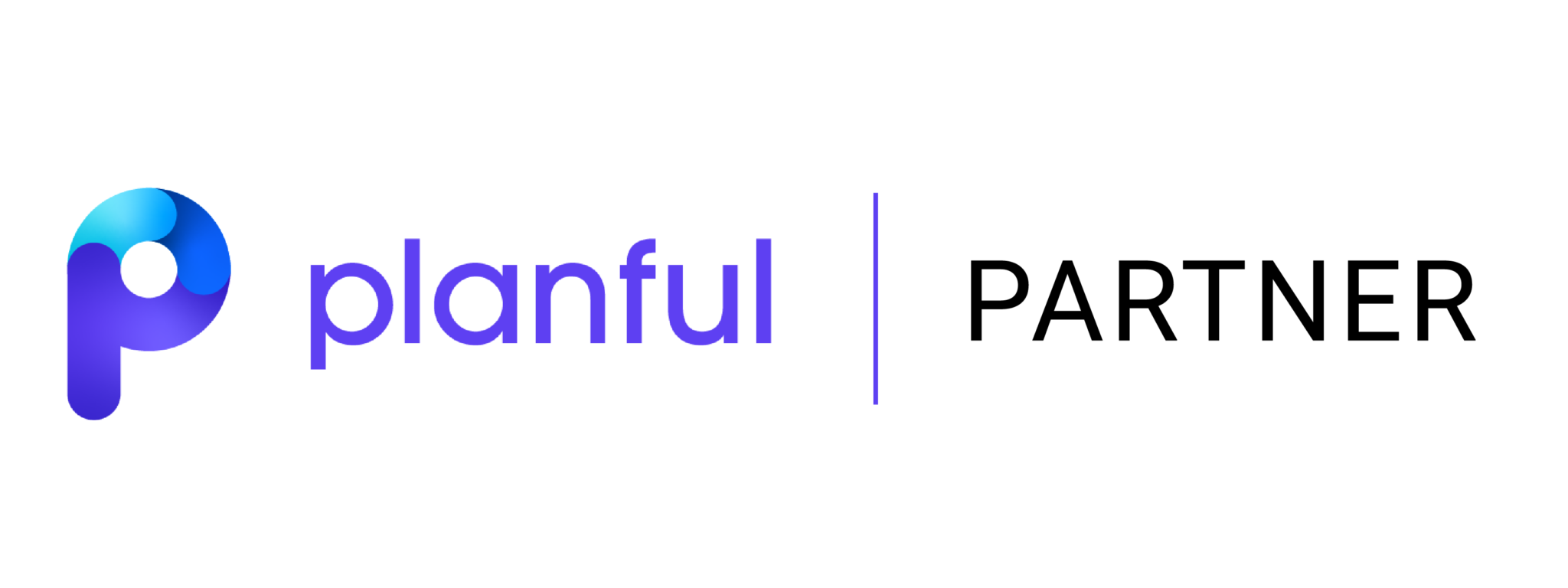 Planful, FP&A Platform for Continuous Planning - Société de conseil ...